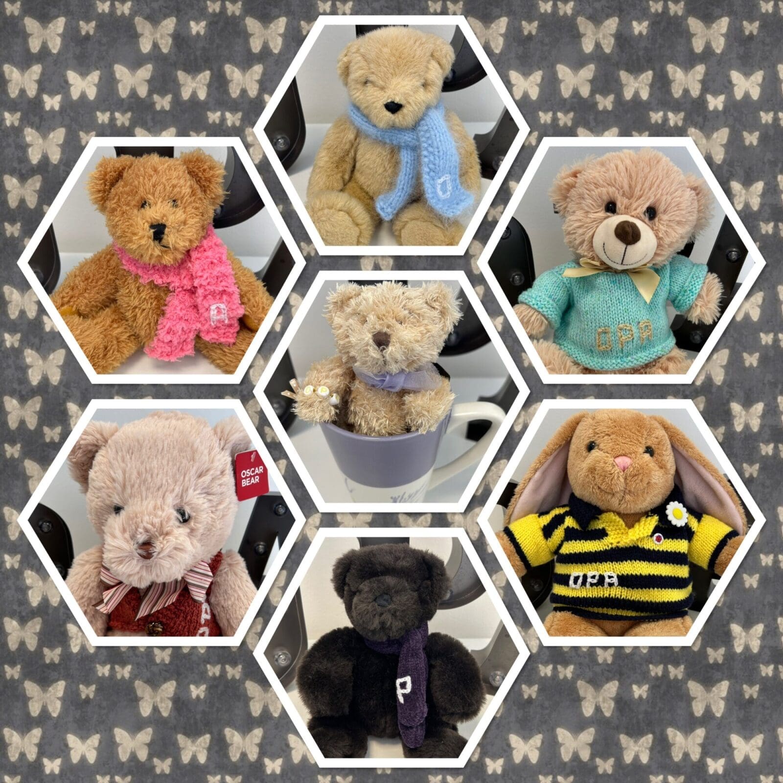 NEW IN STOCK - OPA Teddy Bears | OPA